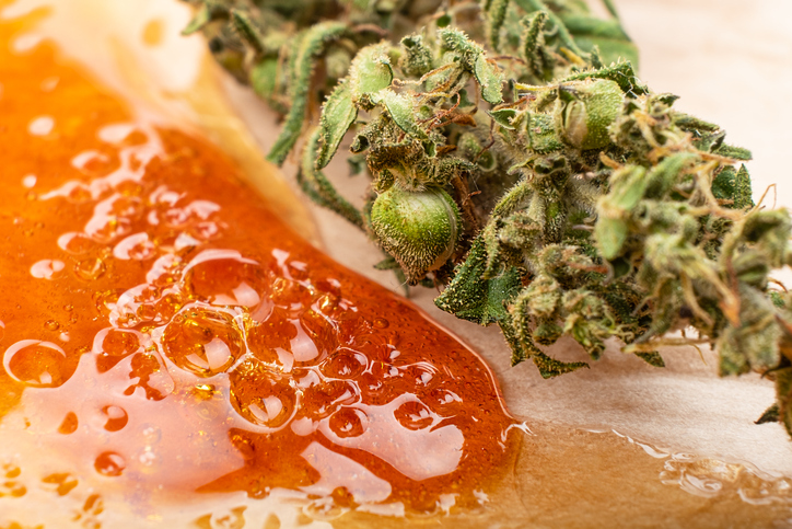 What is Live Rosin Badder? - Dripp Extracts What is Live Rosin Badder? - Dripp Extracts